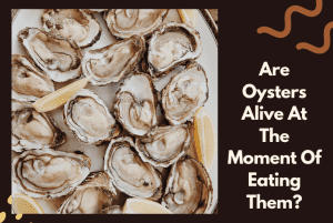 How To Store Shucked Oysters In Fridge? (Best Storage Tips!)