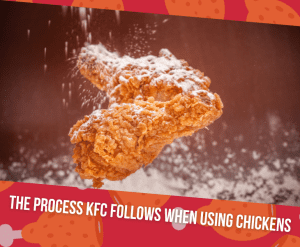 Does KFC Use Real Chicken Or Not? - (Read The Whole Truth!)