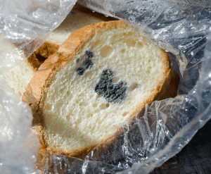 Why Is My Bread Wet In The Bag Suddenly? - (Must Know!)